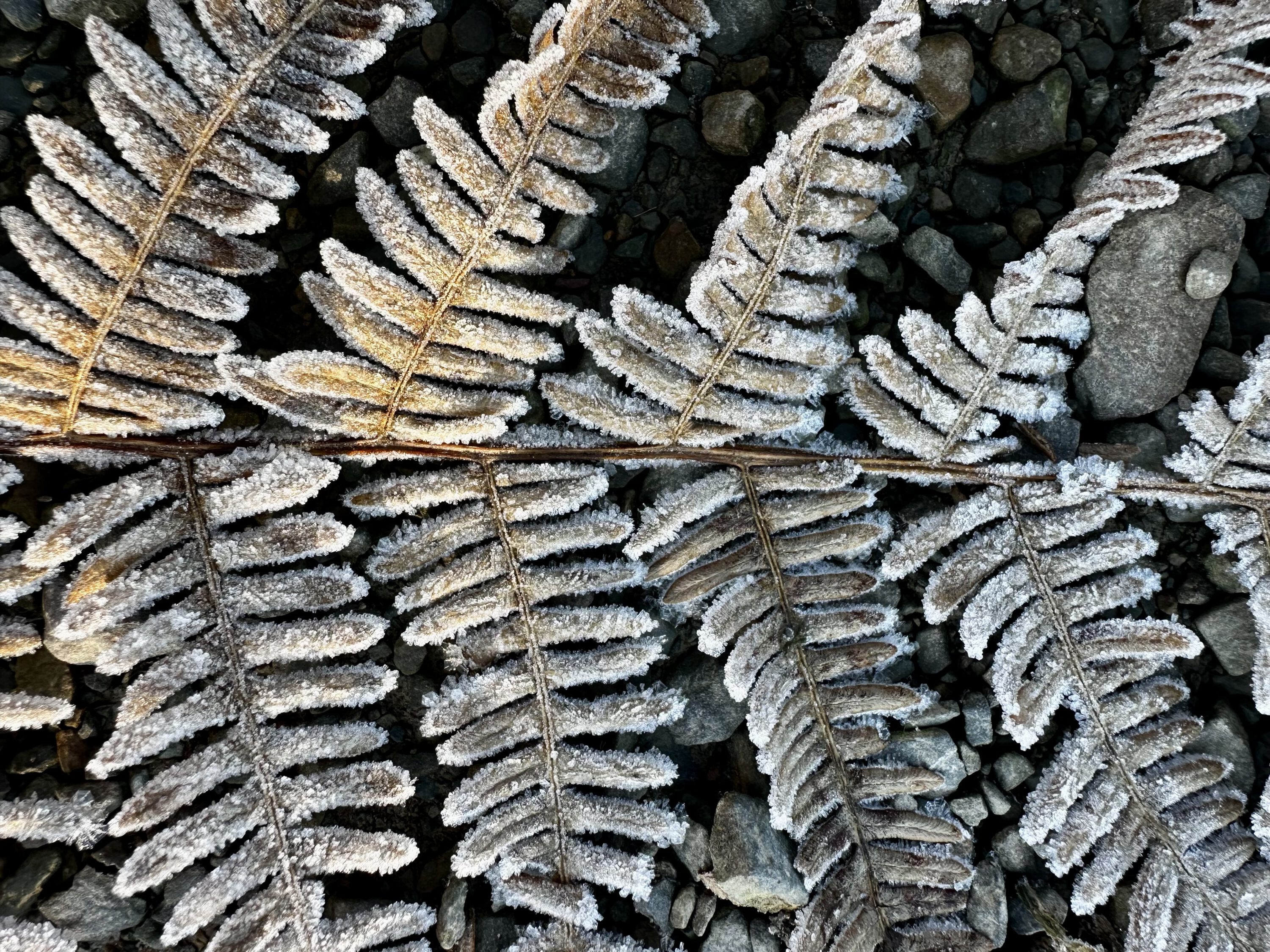 Visual Stories – Painted with Light