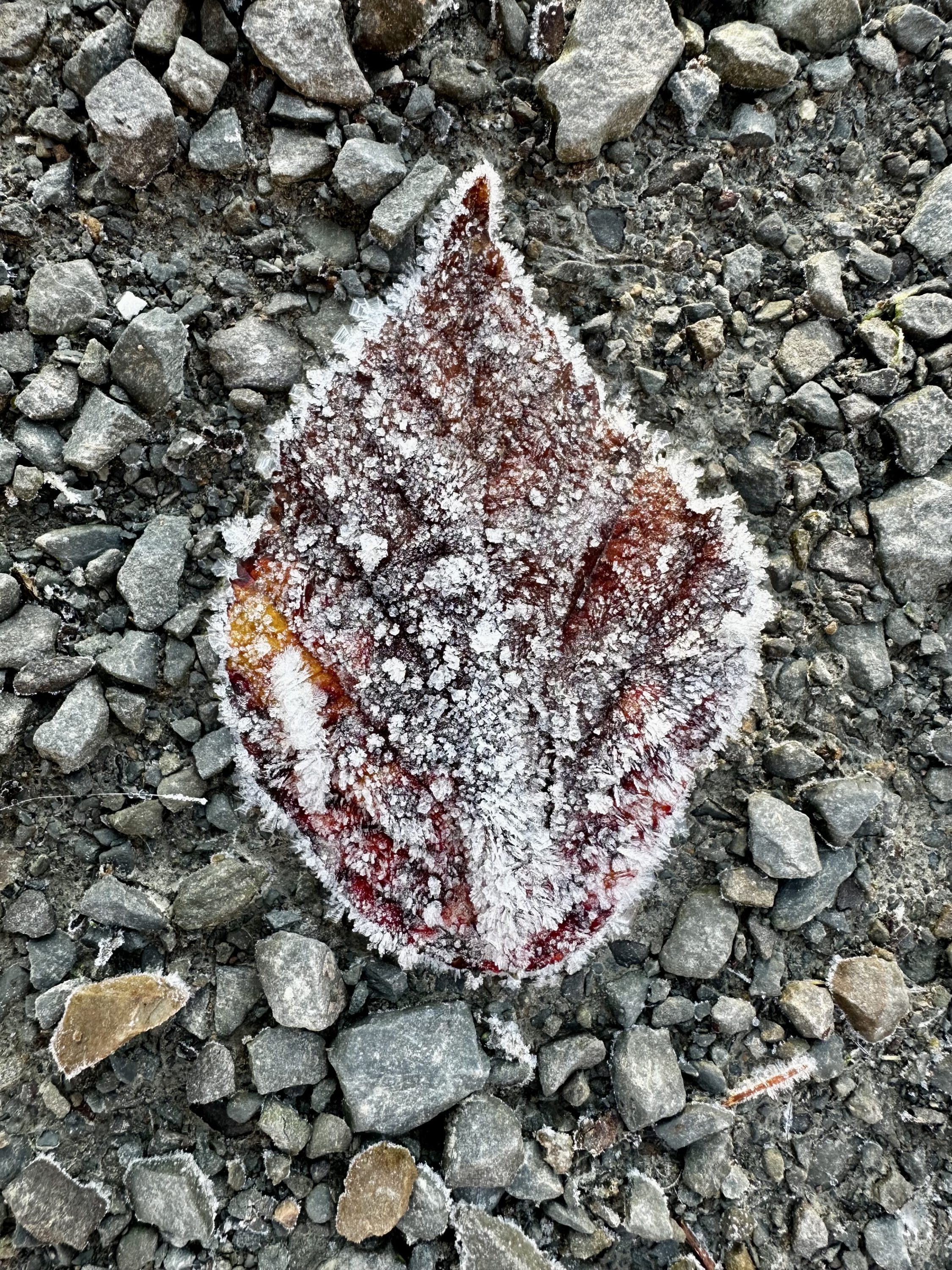 Visual Stories – Painted with Light